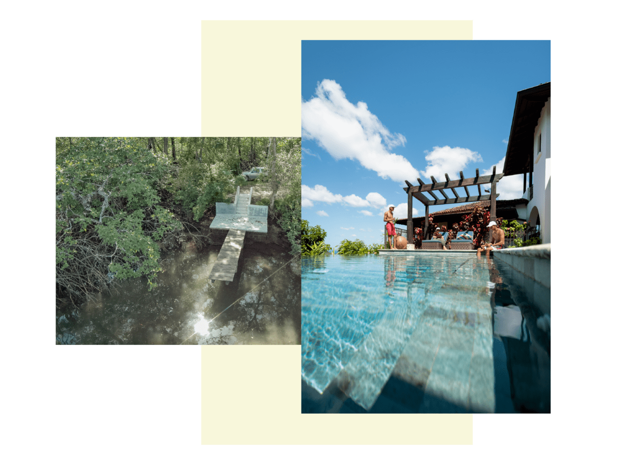 The vision of Los Islotes - Los Islotes